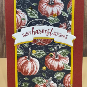 Making "Rustic Harvest" Cards from Leftovers • Steve's Crafting Café